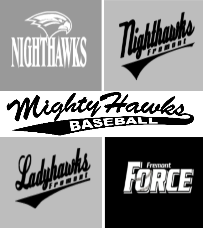 Fremont Nighthawk / Ladyhawks / Force > Home