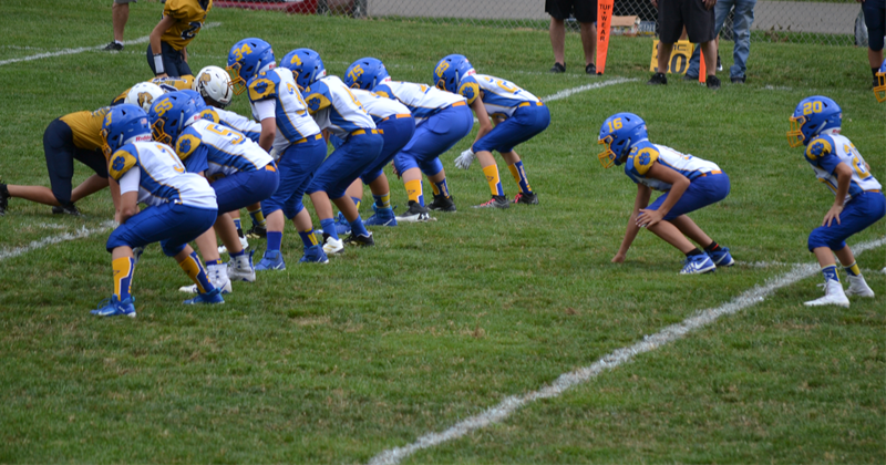 Hampton Junior Football > Home