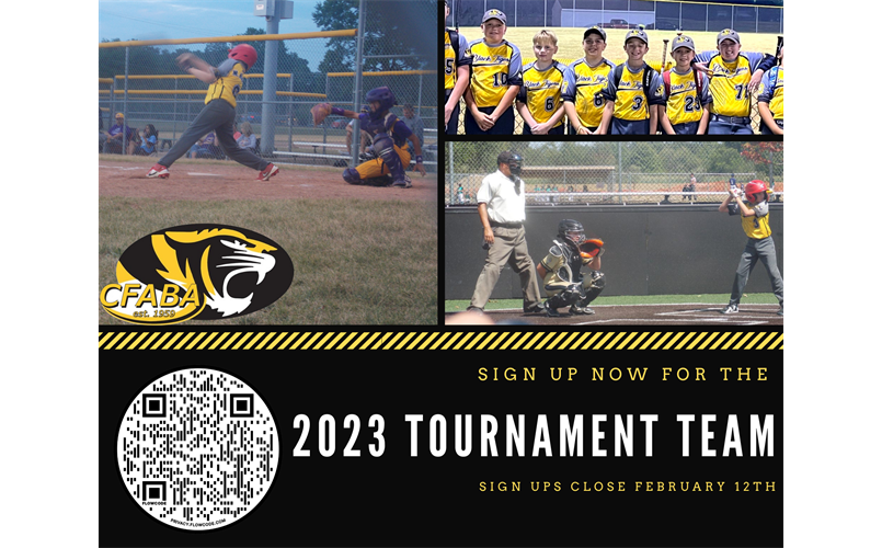 Cuyahoga Falls Amateur Baseball Association > Home