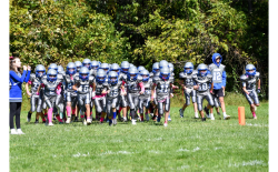 Falcon Youth Football Association > Home