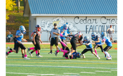 Falcon Youth Football Association > Home