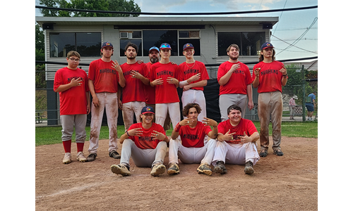 GREATER NILES BASEBALL > Home