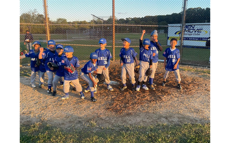 Albertson Herricks Little League Baseball > Home